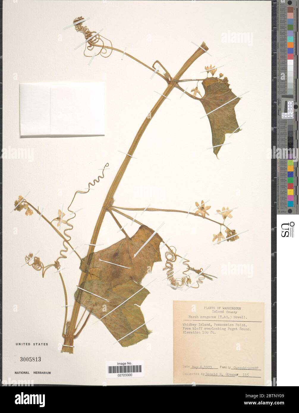 Marah hi-res stock photography and images - Alamy