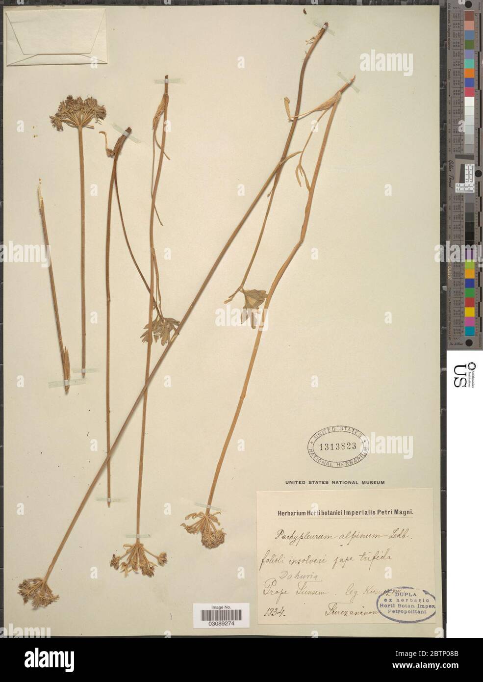 Lebed hi-res stock photography and images - Alamy