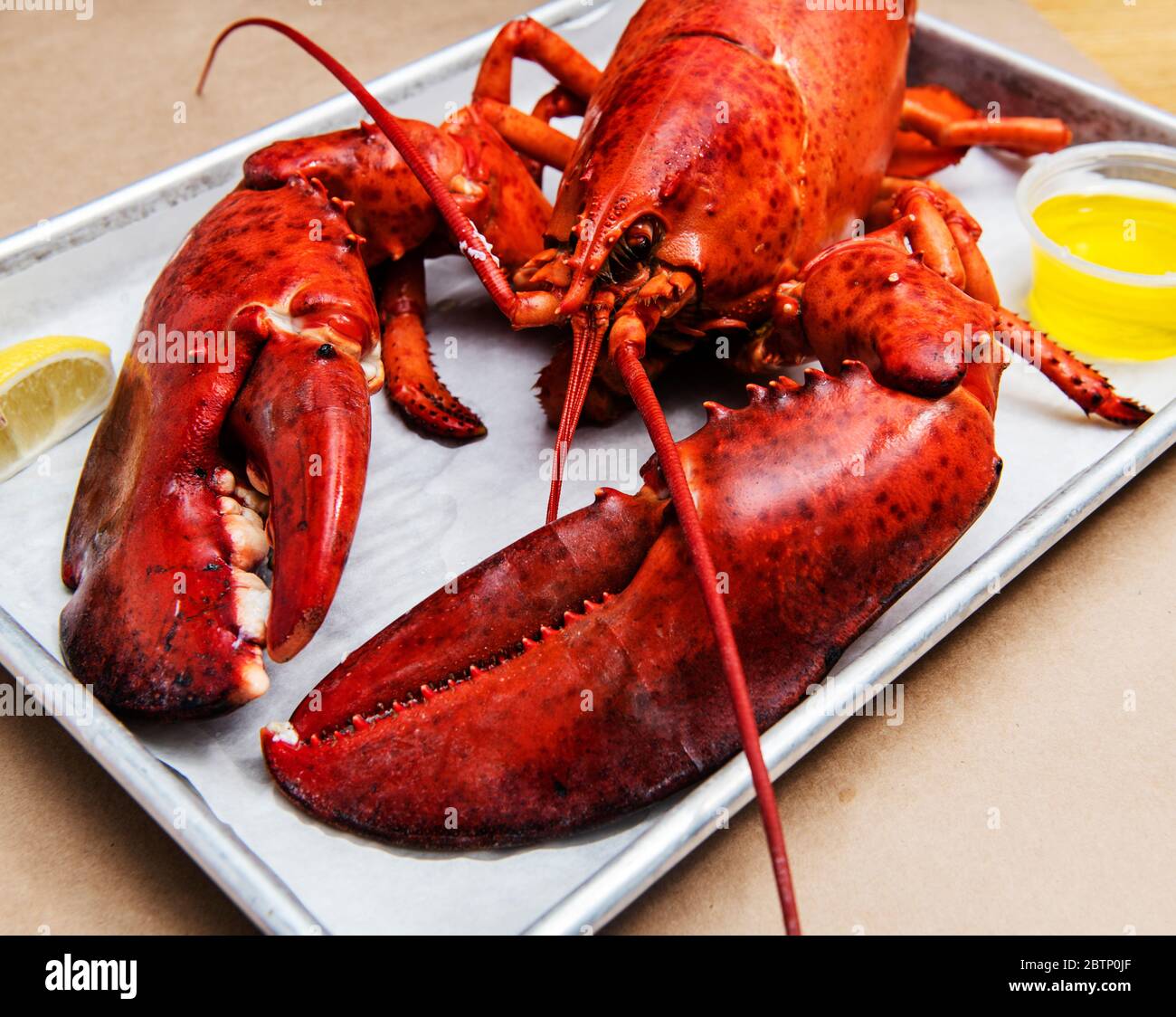 Whole lobster hi-res stock photography and images - Alamy