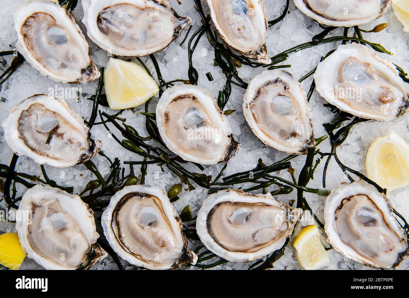 Oyster platter on ice with lemon Stock Photo - Alamy