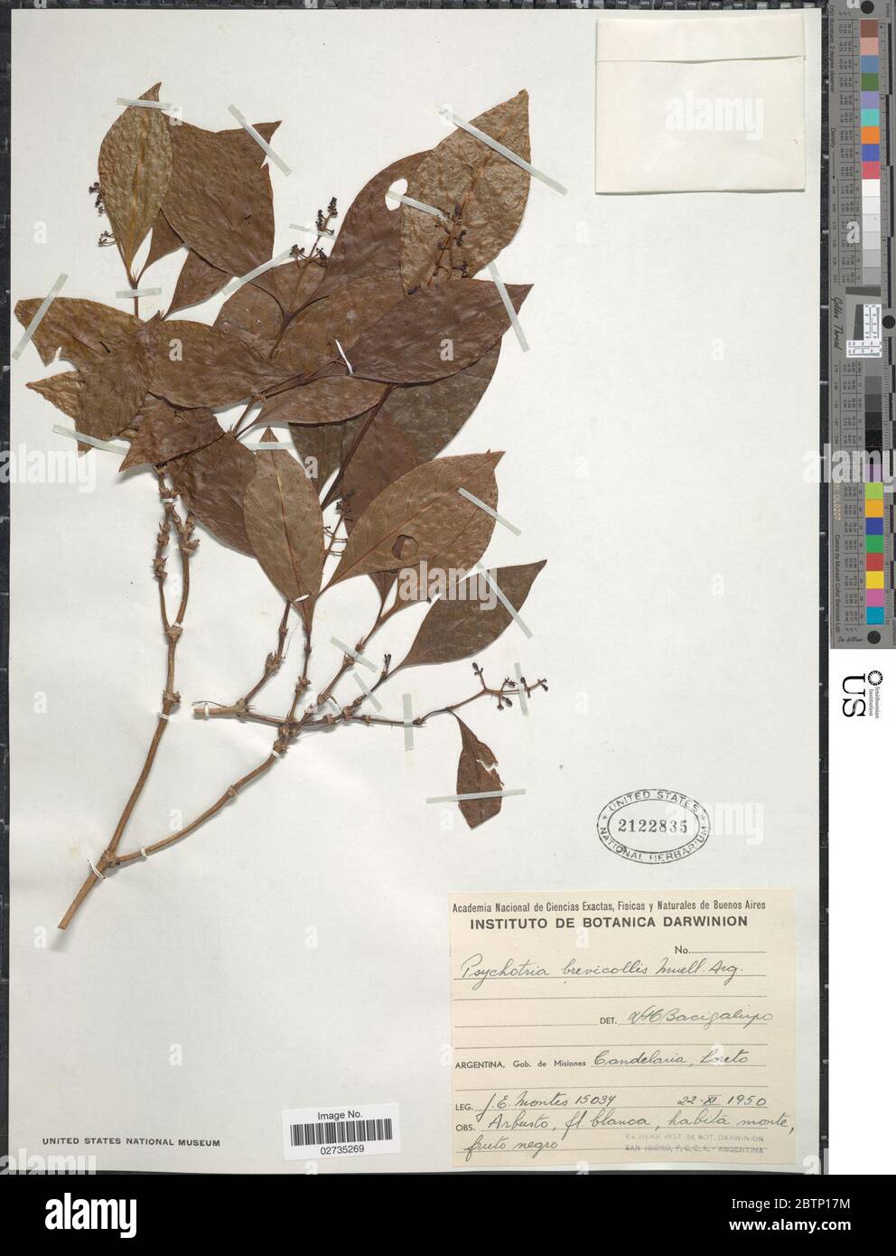 Mll image hi-res stock photography and images - Alamy