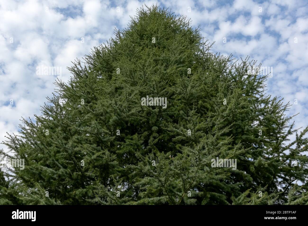Slightly clouds hi-res stock photography and images - Alamy
