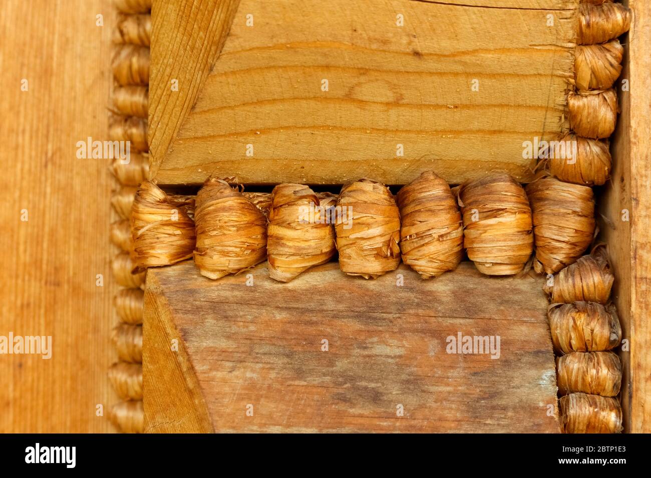 The sealing of the wooden house construction is illustrated by the ...