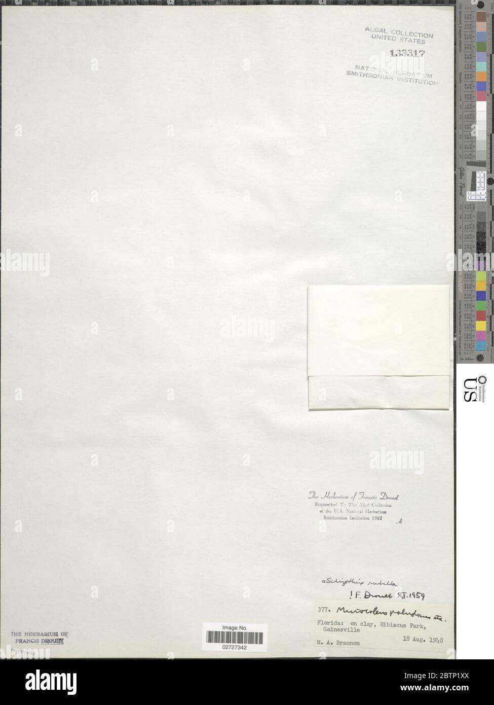 Schizothrix hi-res stock photography and images - Alamy