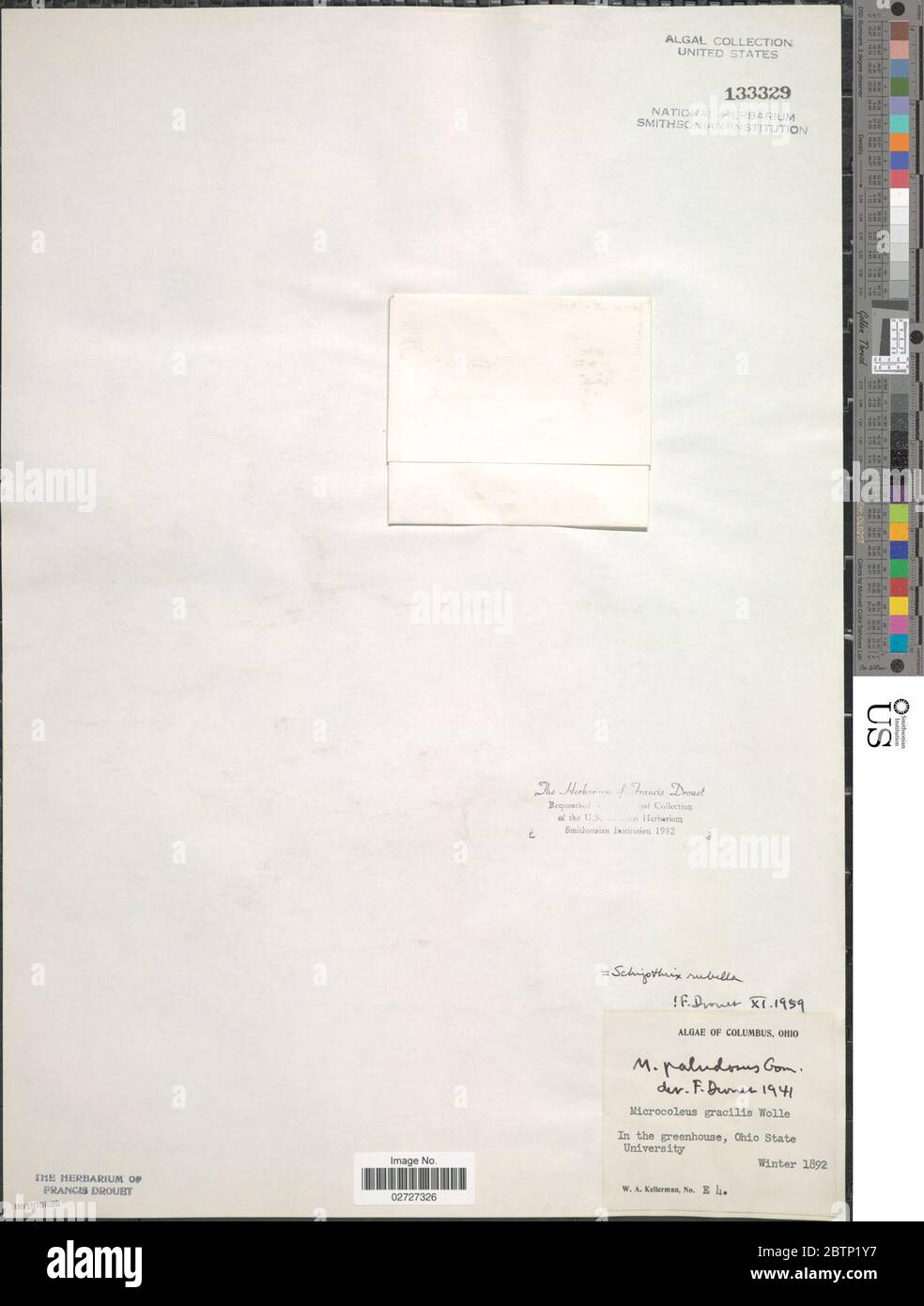 Schizothrix hi-res stock photography and images - Alamy