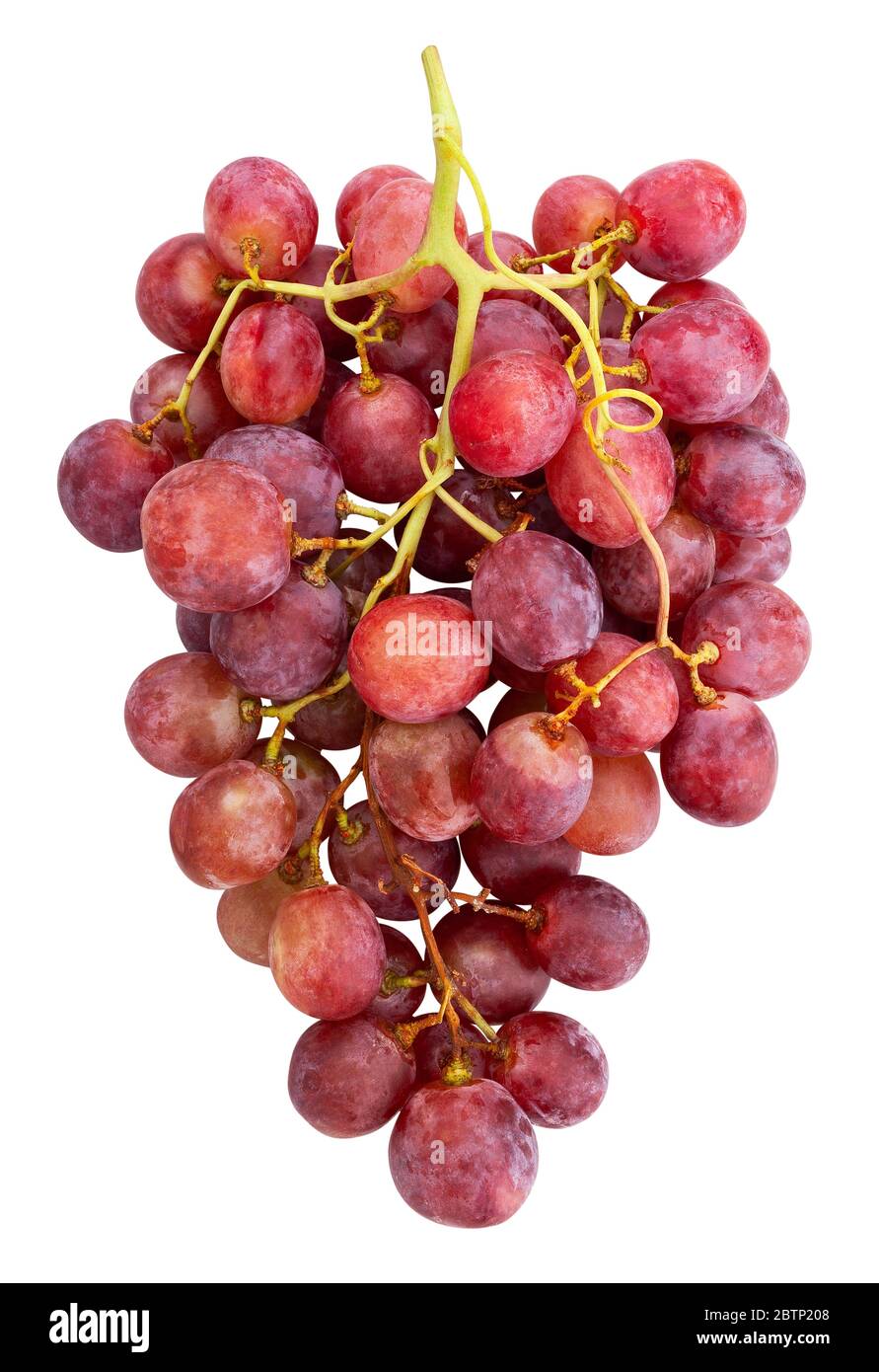 Grapes on stem hi-res stock photography and images - Alamy