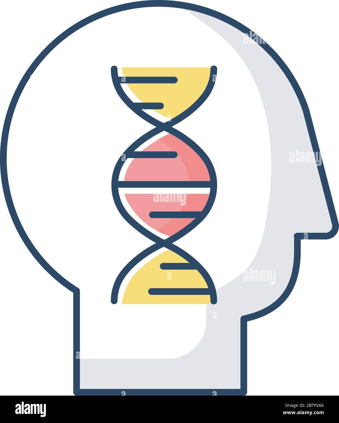 Human biology RGB color icon Stock Vector Image & Art - Alamy