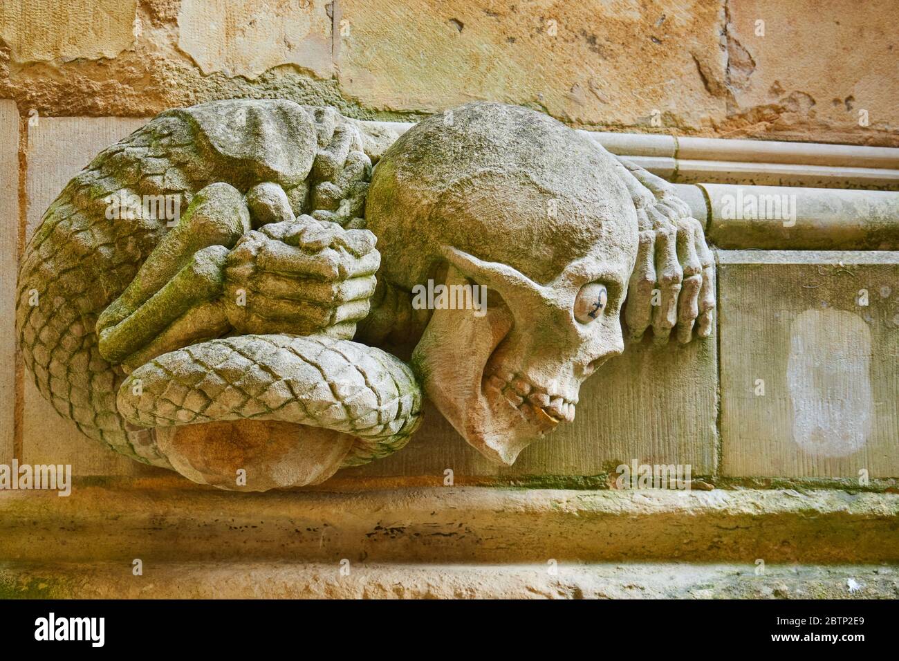 Lincoln Cathedral Skull Gargoyle or Grotesque. A snake with a human ...