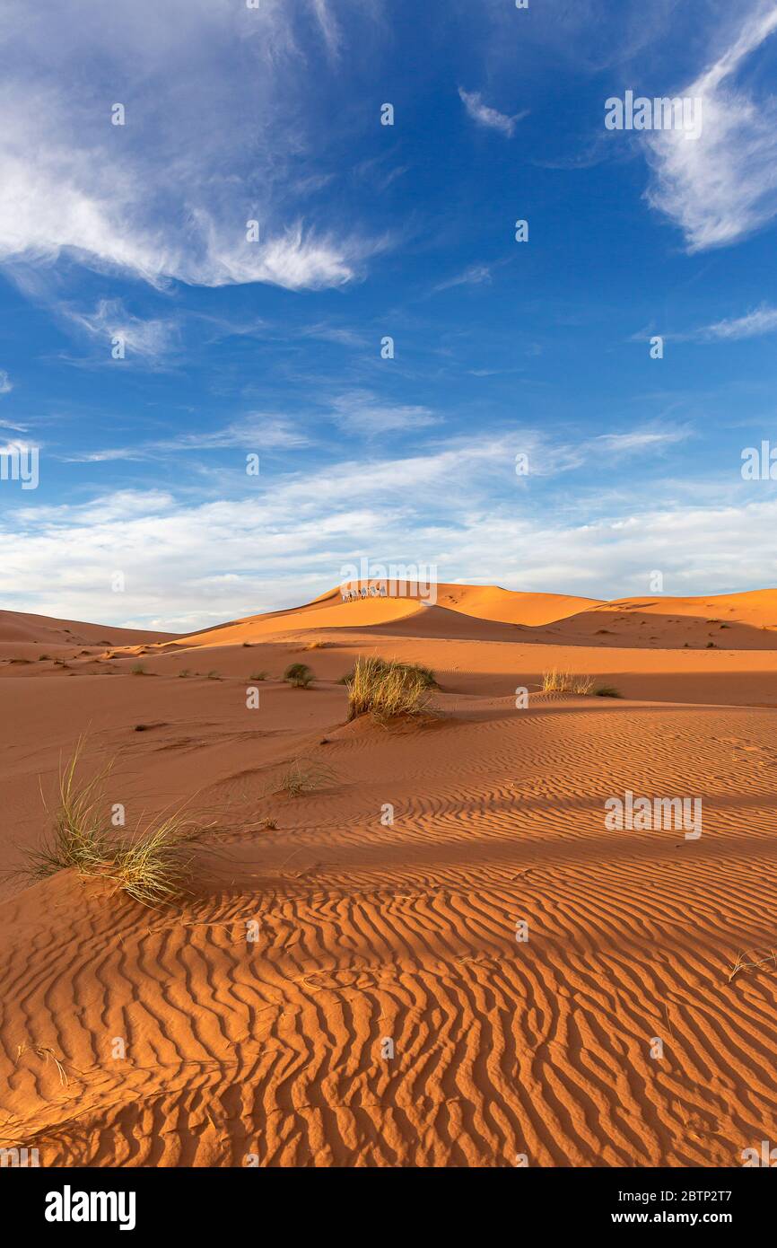 Sahara trek hi-res stock photography and images - Alamy
