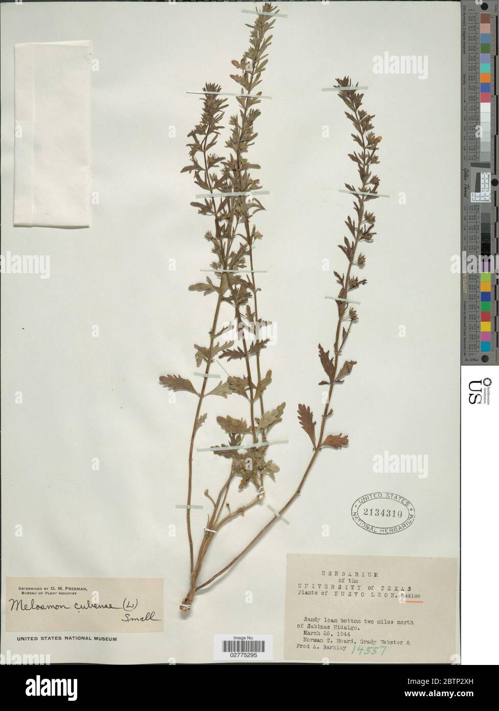 Cubense hi-res stock photography and images - Alamy