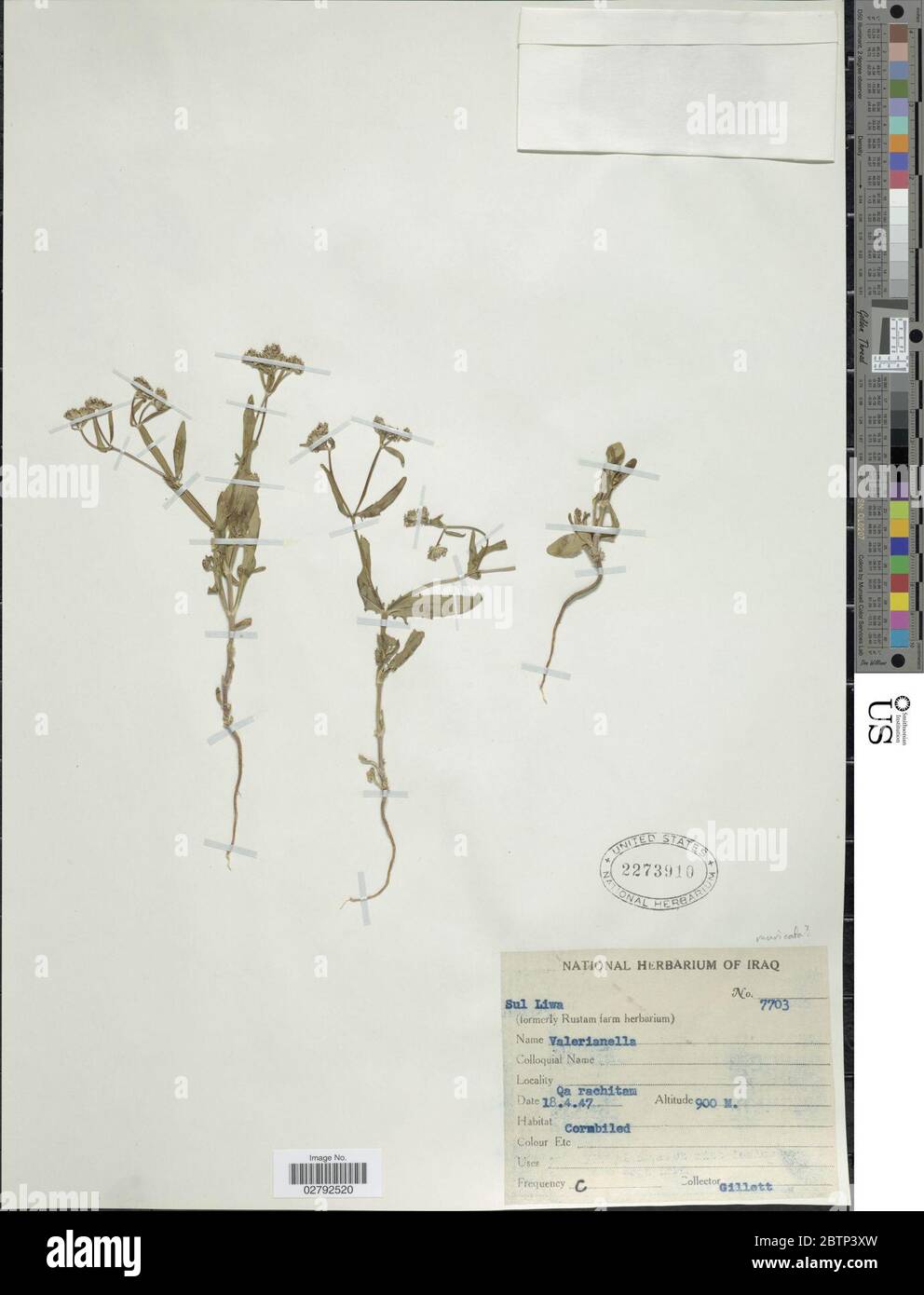 Steven baxter hi-res stock photography and images - Alamy