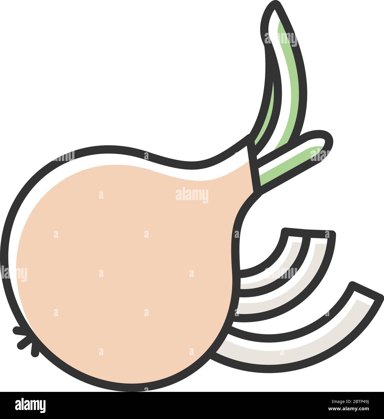 Onion RGB color icon Stock Vector Image & Art - Alamy