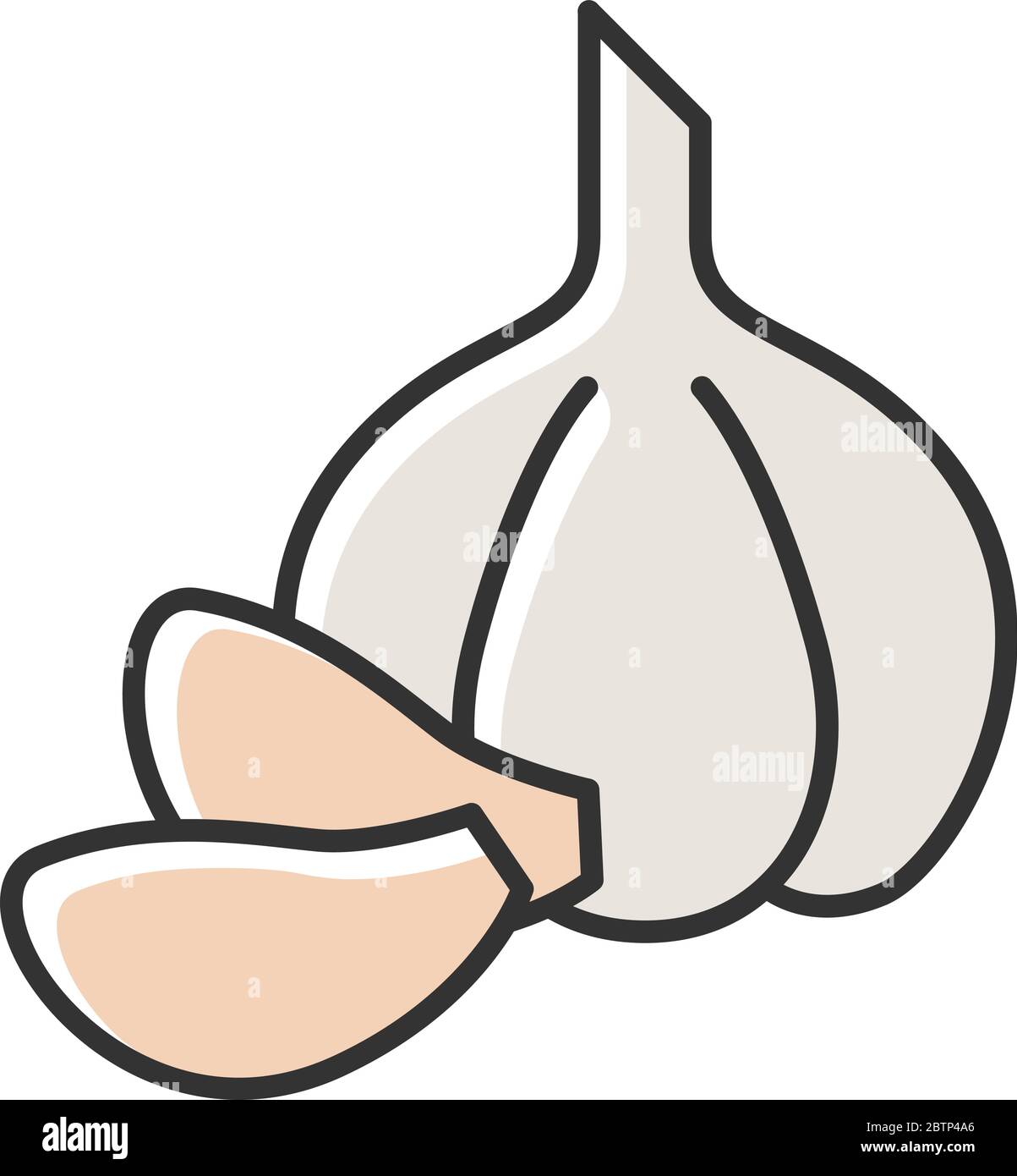 Garlic white RGB color icon Stock Vector Image & Art - Alamy