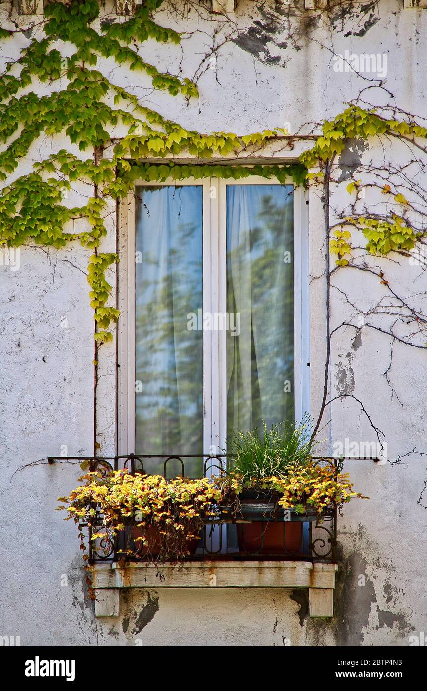 Decorated Italian Window Stock Photo - Alamy