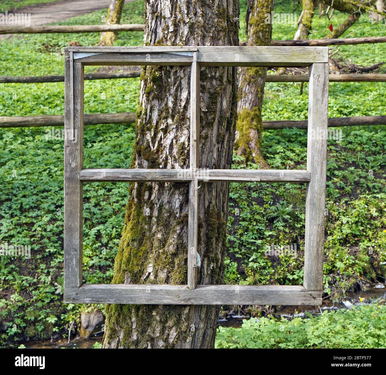 Exhibition of paintings in the forest - aged window frame are nailed to ...