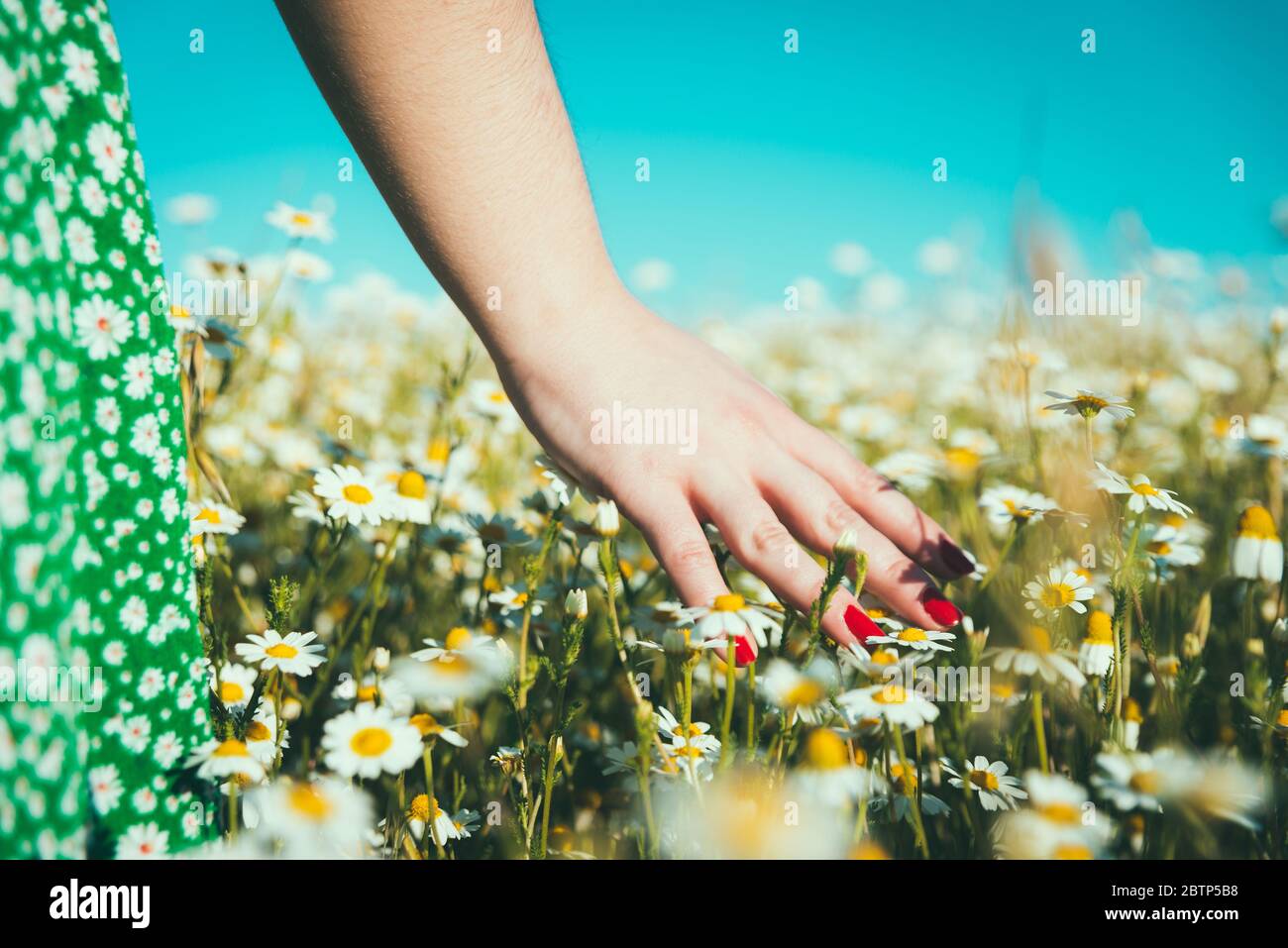 Woman's hand touching flower hi-res stock photography and images - Alamy