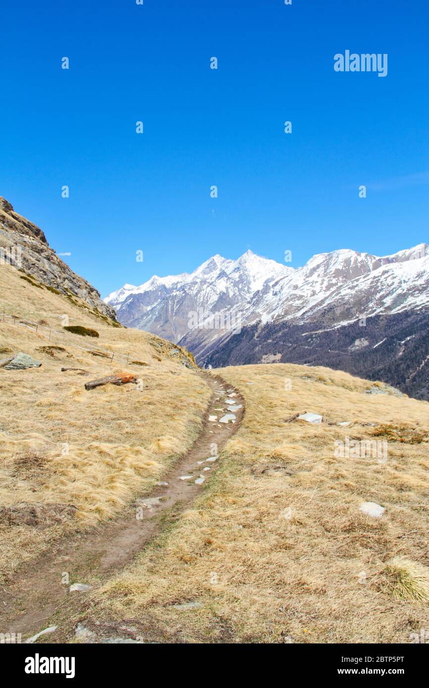 Trail in the High Alps Stock Photo - Alamy