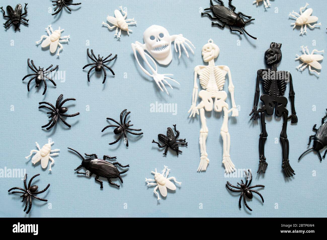 Halloween decoration set: Skeletons, flies, spiders, beetles, skulls on ...
