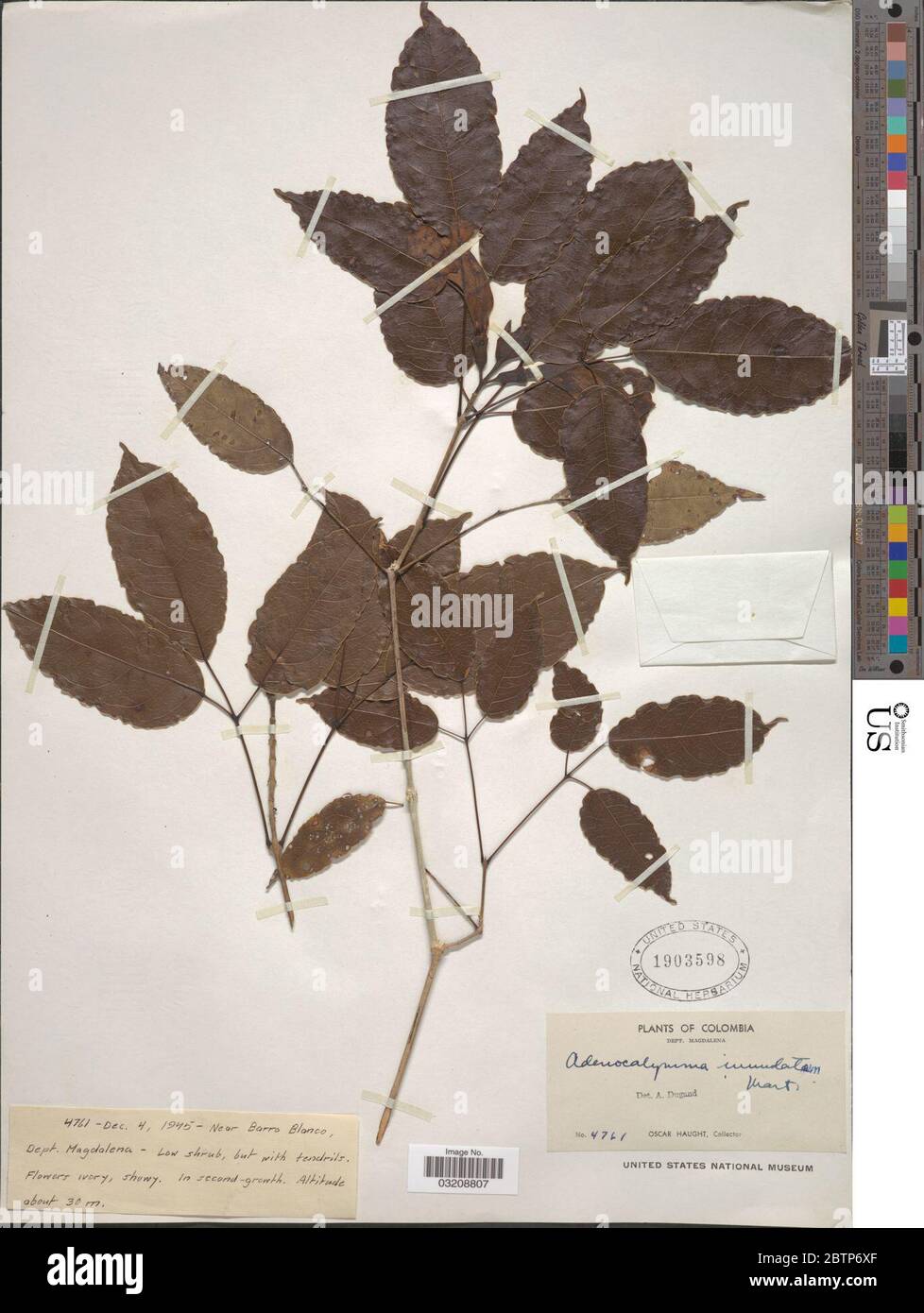 Inundatum hi-res stock photography and images - Alamy