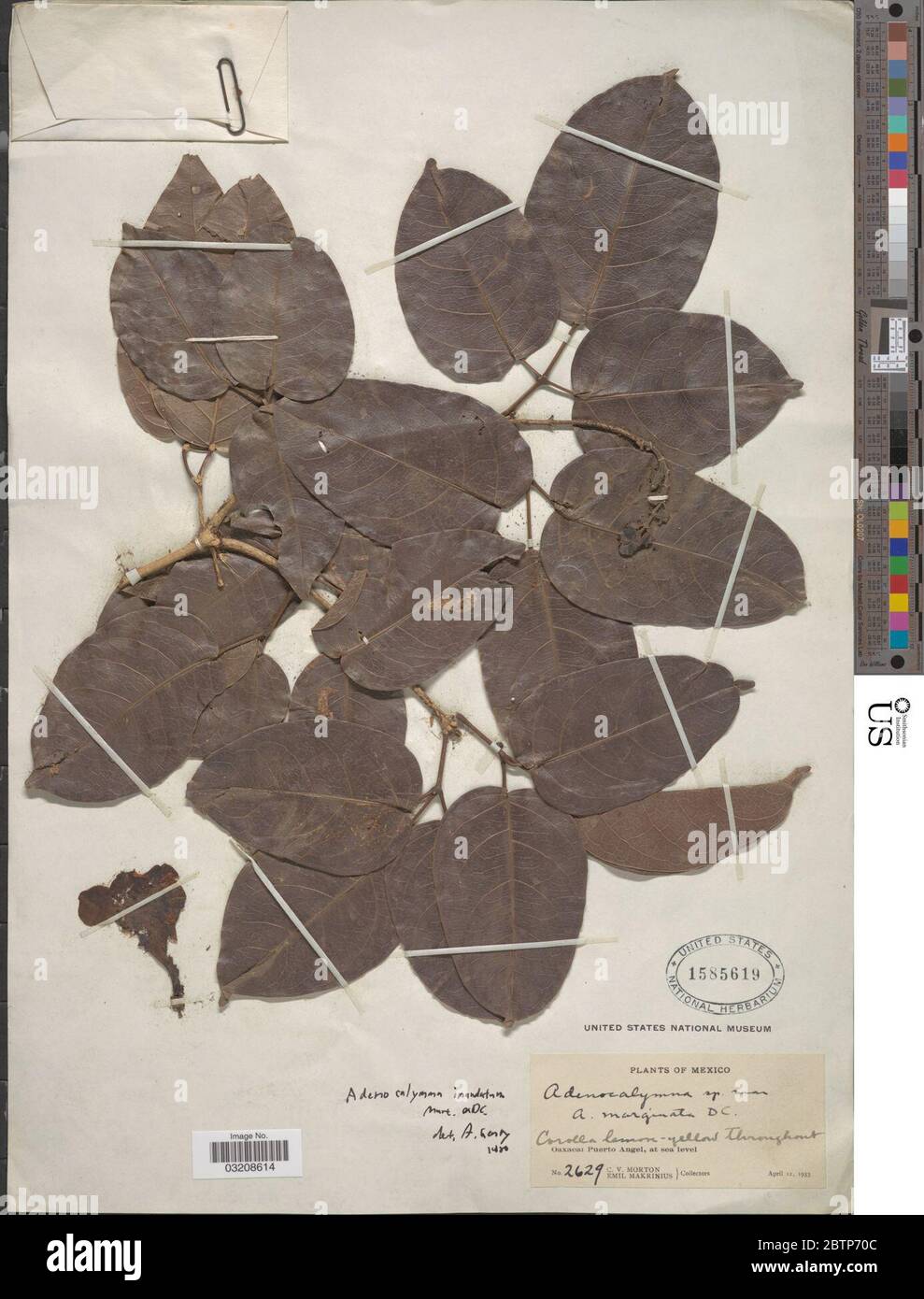 Inundatum hi-res stock photography and images - Alamy