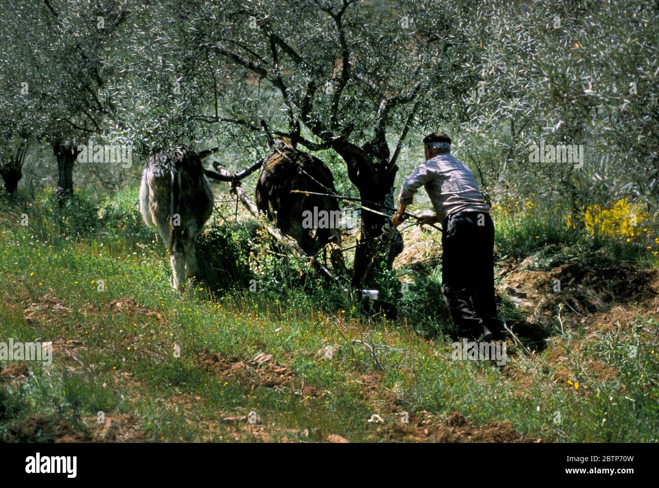 1970s farming hi-res stock photography and images - Alamy