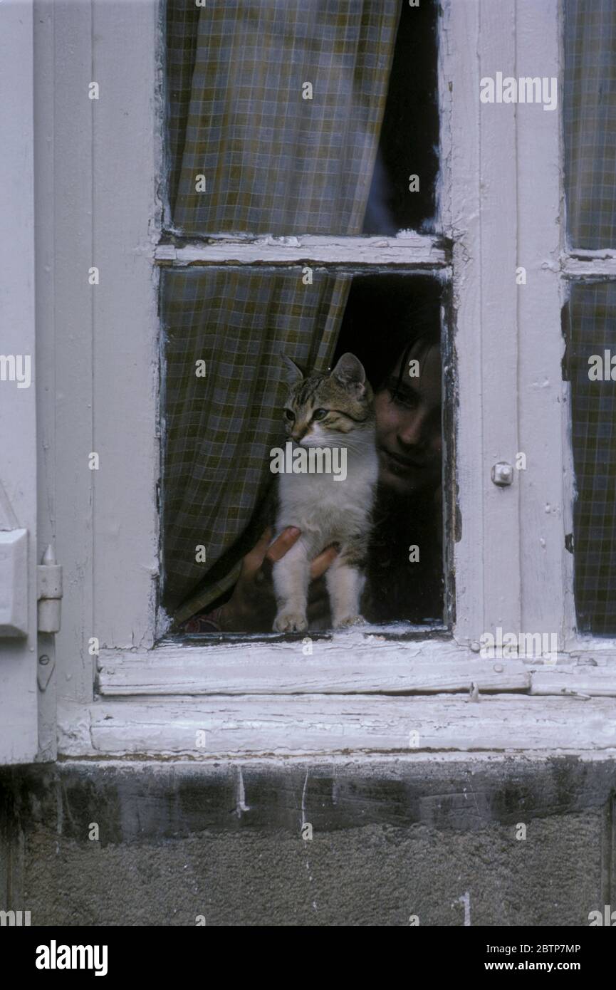 Cat looking through a window in France Stock Photo - Alamy