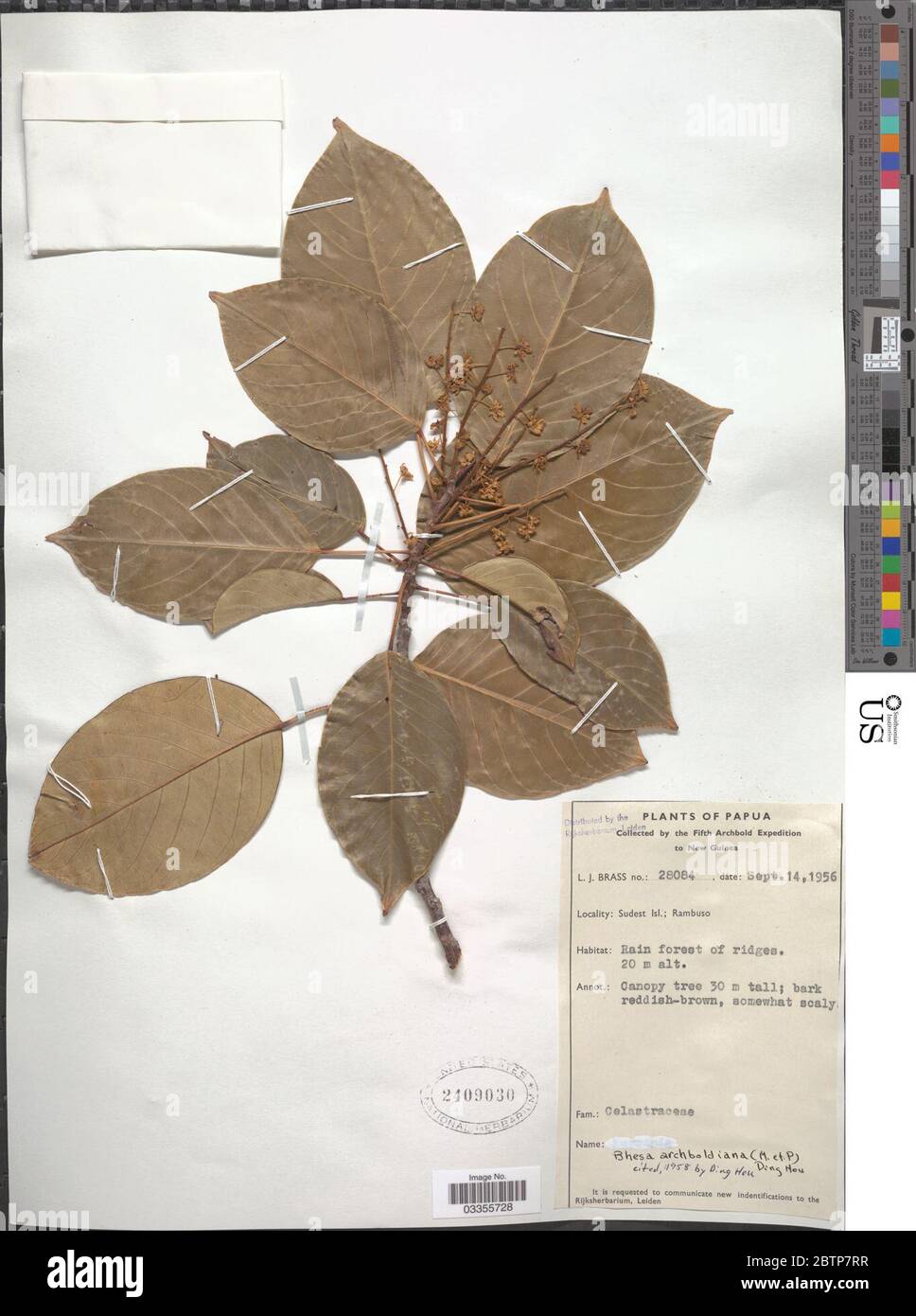 Bhesa hi-res stock photography and images - Alamy