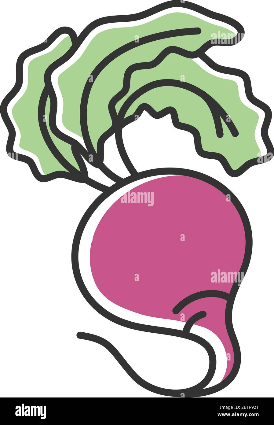 Beetroot RGB color icon Stock Vector Image & Art - Alamy