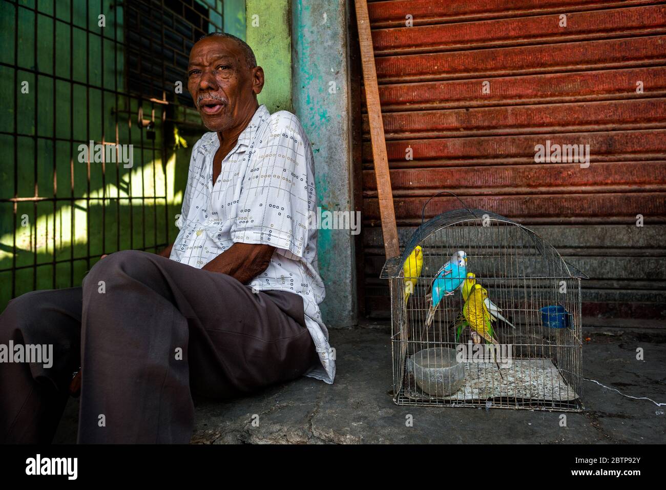 Parrots of colombia hi-res stock photography and images - Alamy