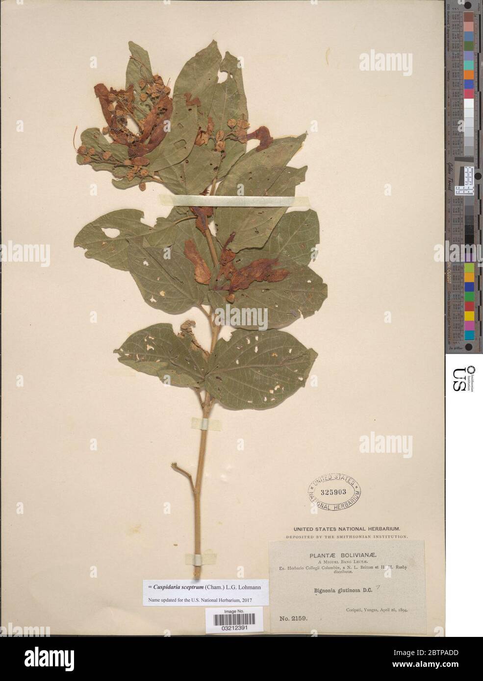 Sceptrum hi-res stock photography and images - Alamy