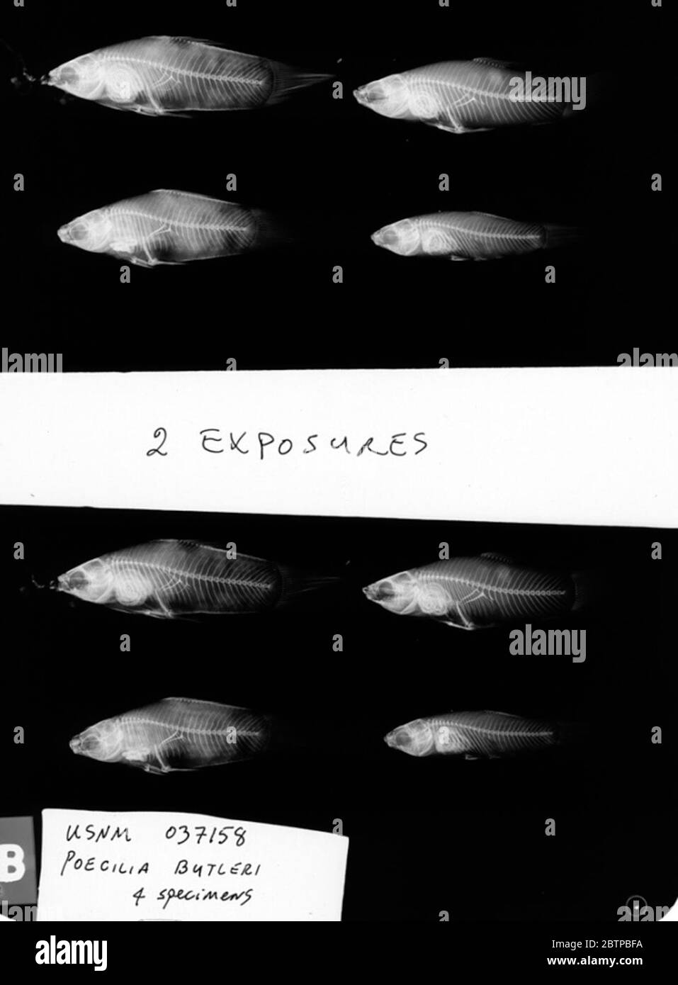 03 003 hi-res stock photography and images - Alamy