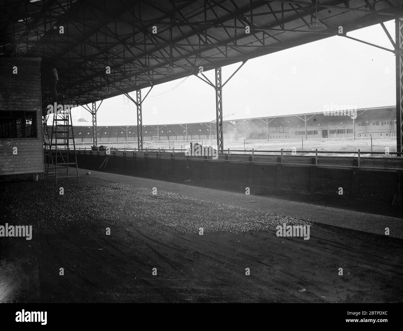 Greyhound stadium hi-res stock photography and images - Alamy