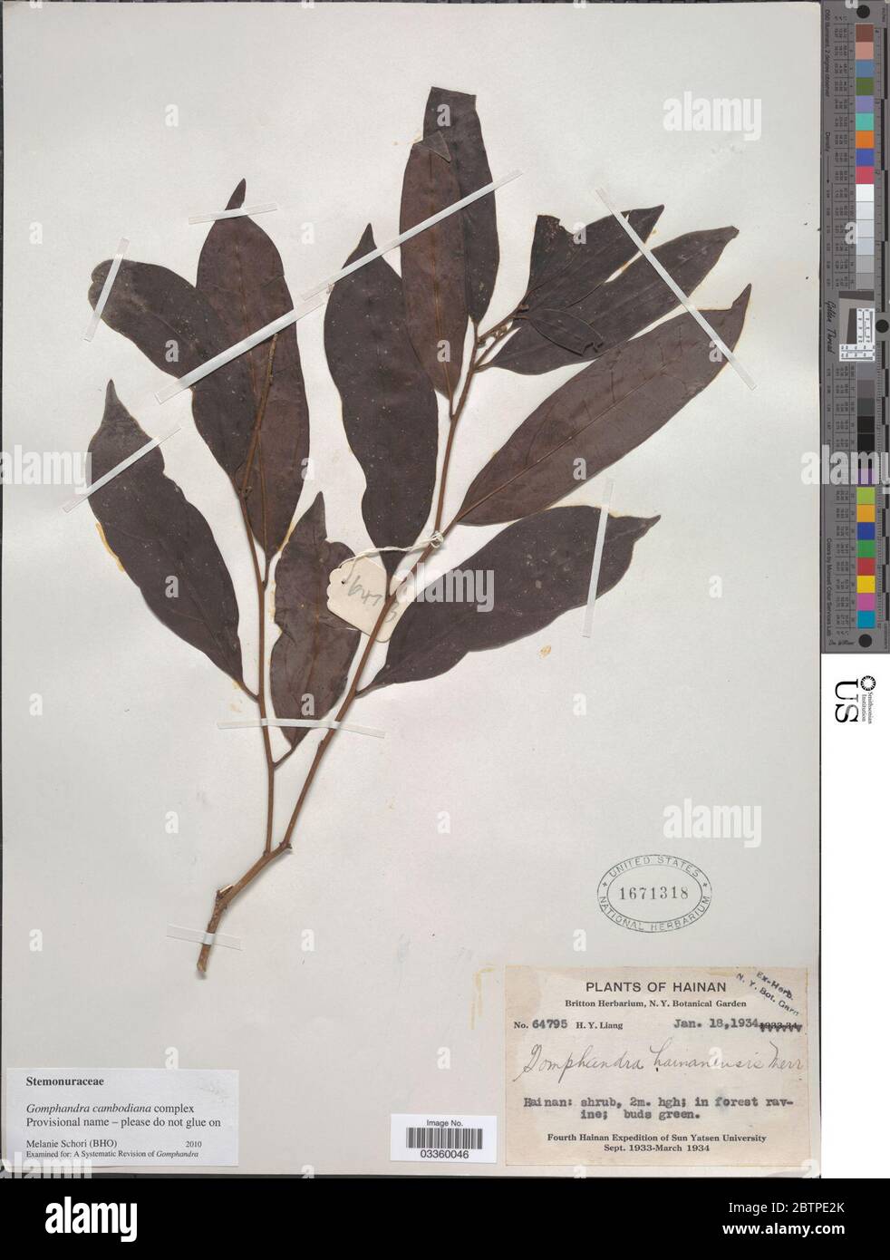 Cambodiana hi-res stock photography and images - Alamy