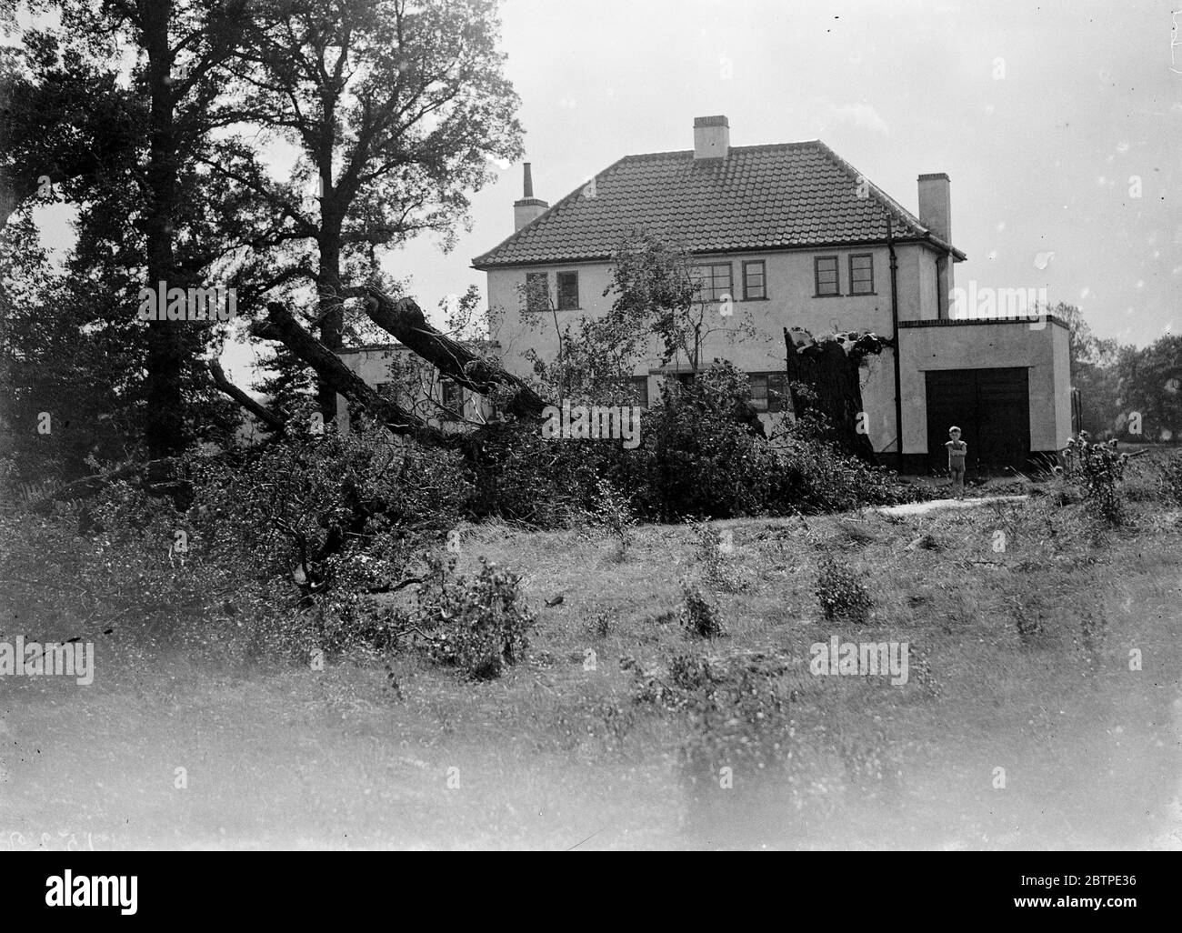 House tree damage Black and White Stock Photos & Images - Alamy