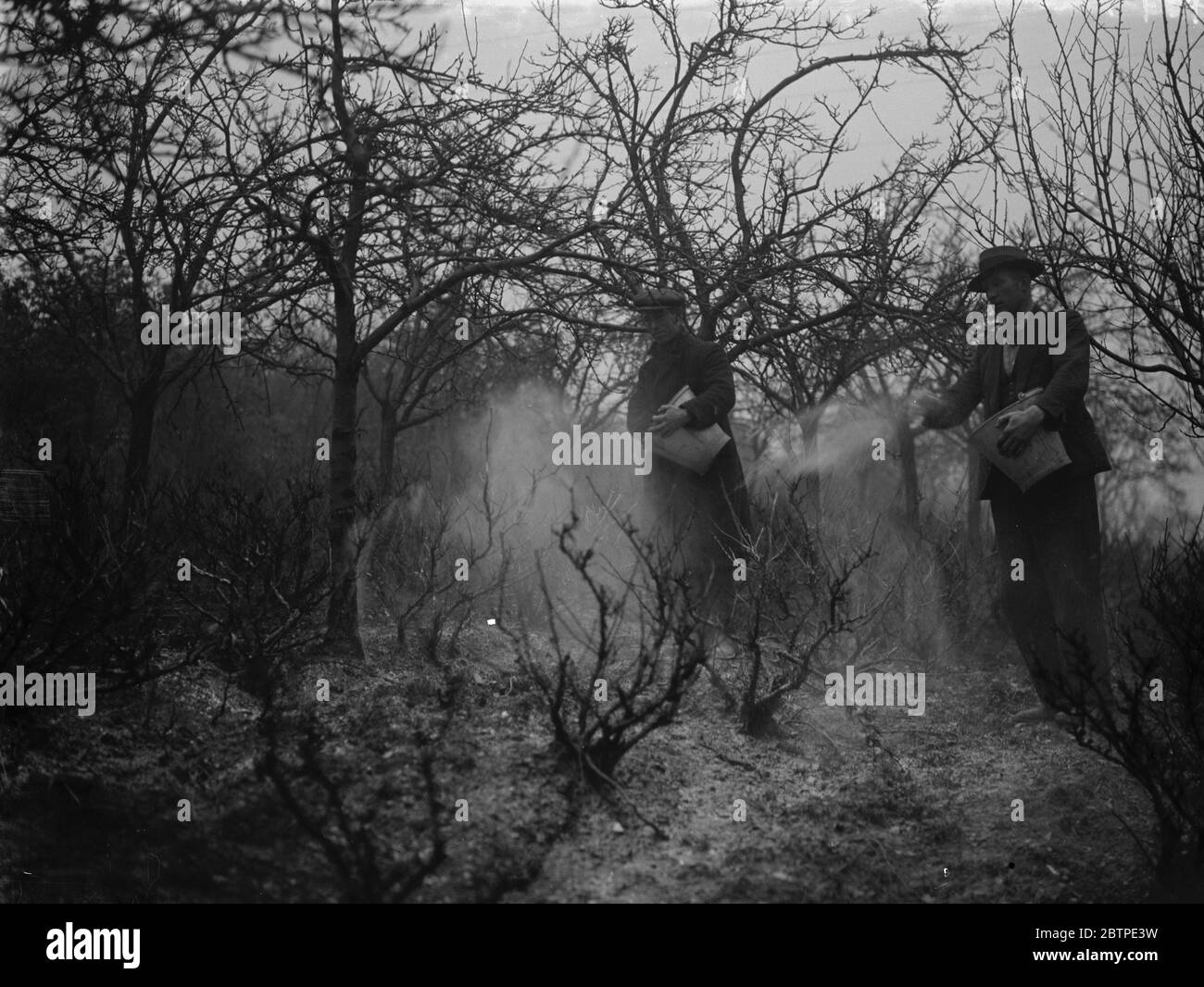 Spraying agriculture Black and White Stock Photos & Images - Alamy