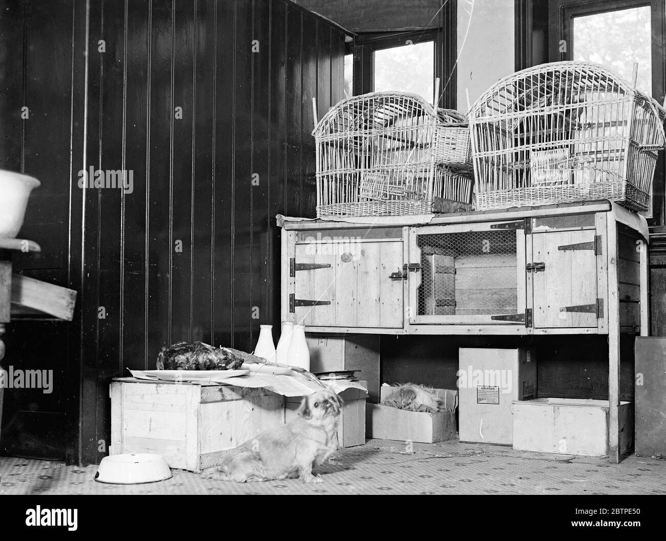 Warren smith hi-res stock photography and images - Alamy