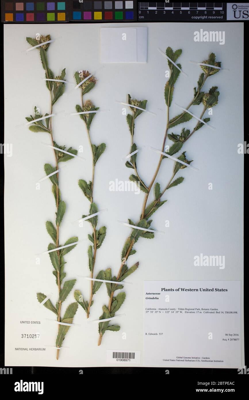 National database america hi-res stock photography and images - Alamy