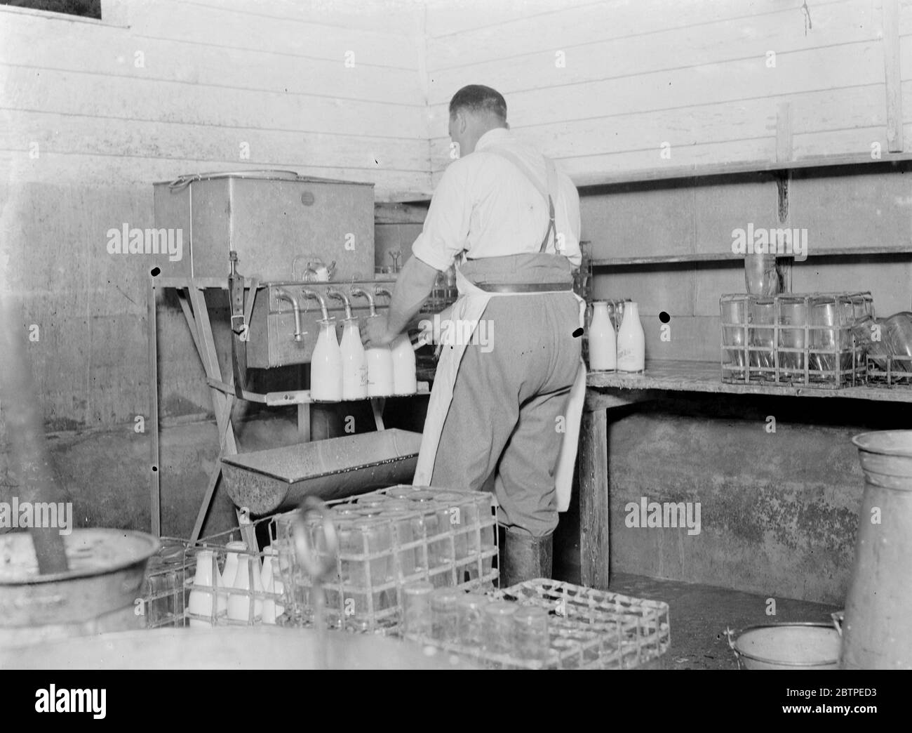 Filling milk bottles . 1935 Stock Photo - Alamy