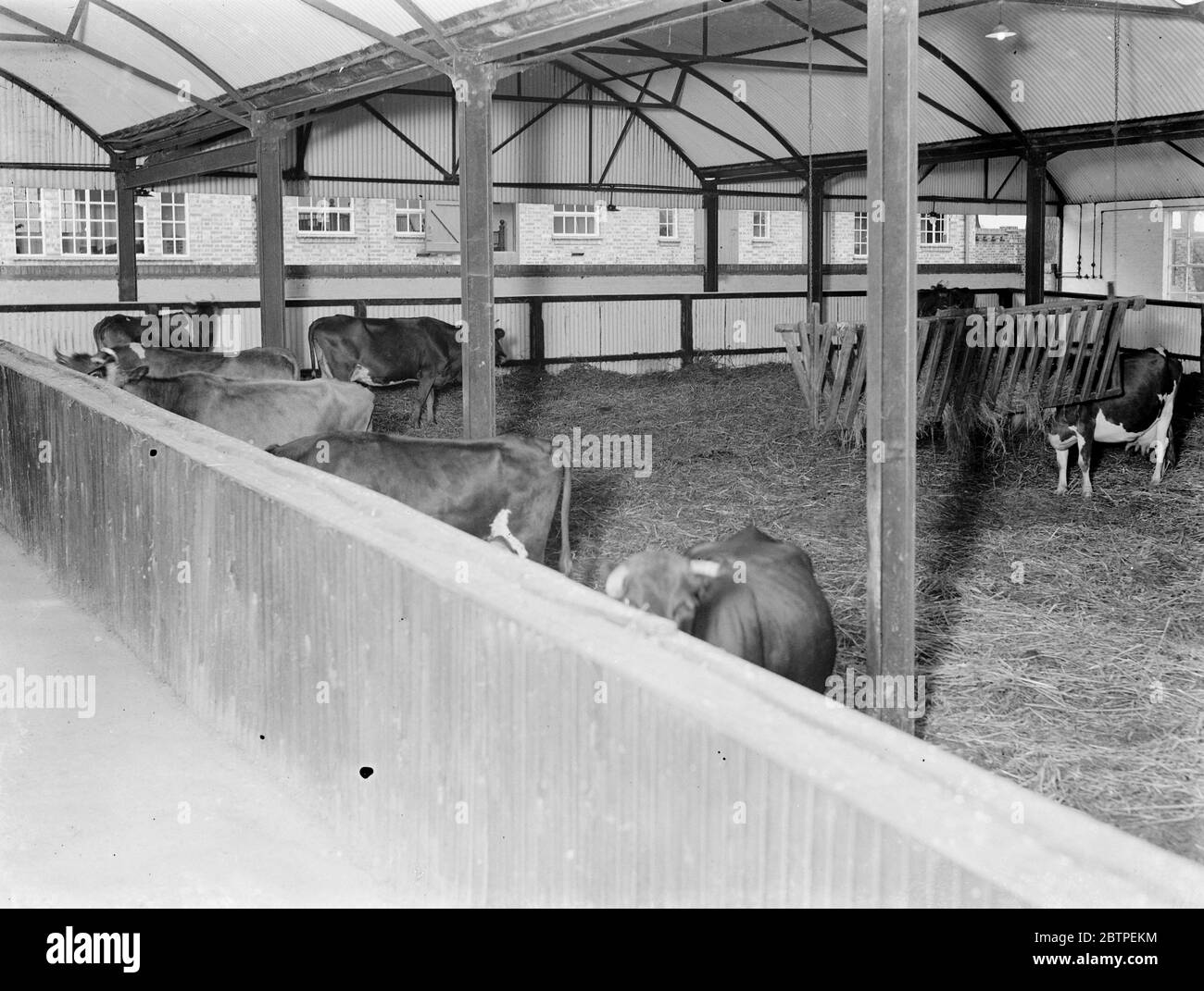 Cowshed interior Black and White Stock Photos & Images - Alamy