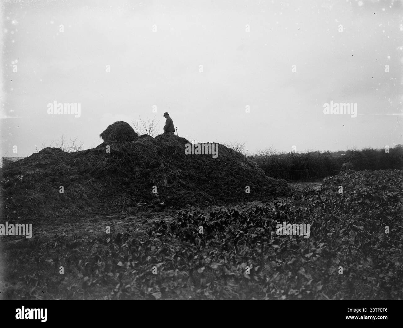 Muck heap . 1935 Stock Photo - Alamy
