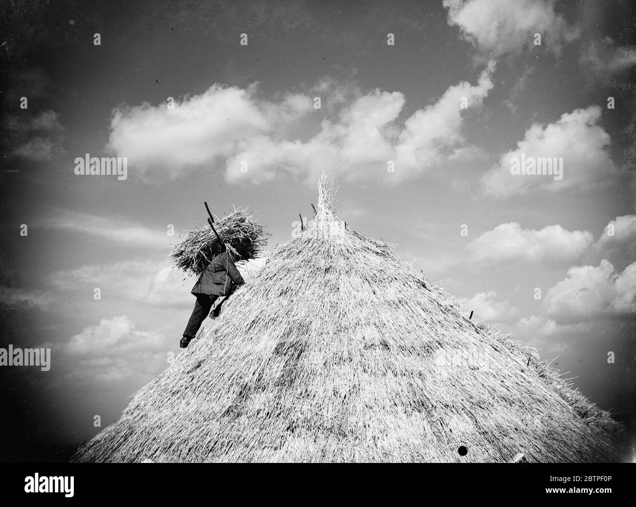 Man making a haystack . 1935 Stock Photo - Alamy