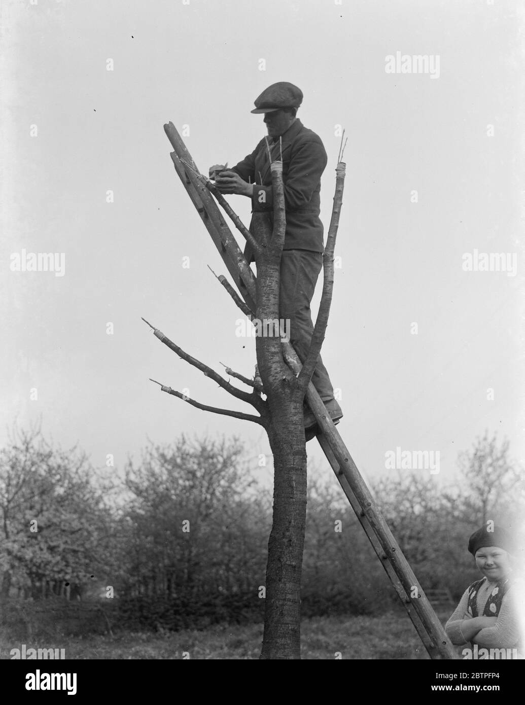 Crafting history hi-res stock photography and images - Alamy