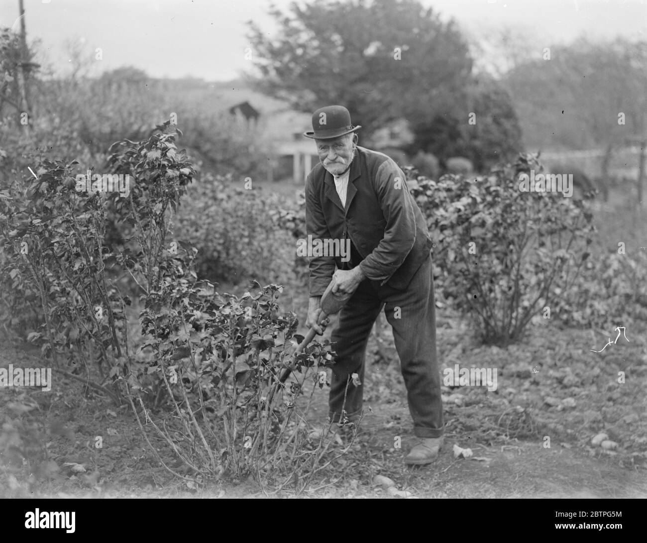 Ww2 farm agriculture hi-res stock photography and images - Alamy