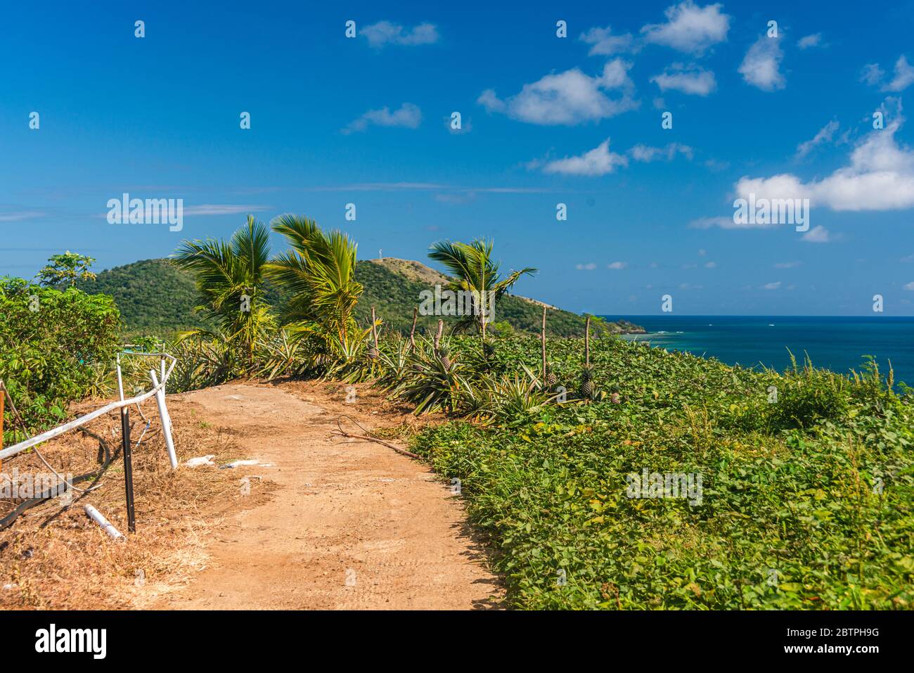 Dirt path leading over a tropical island blue sky above Stock Photo - Alamy