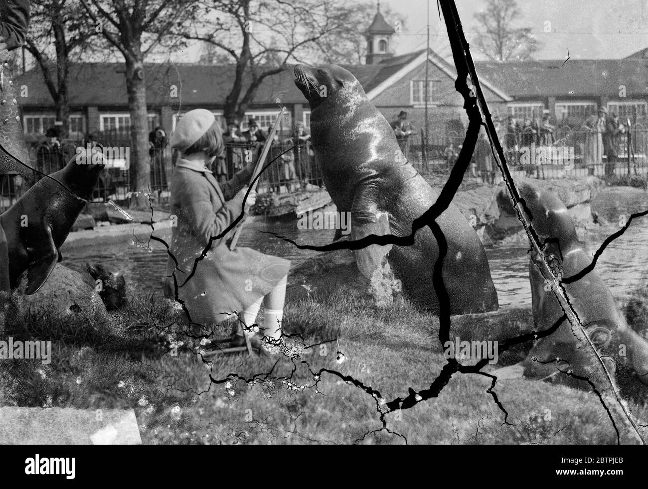 Regents park zoo hi-res stock photography and images - Alamy