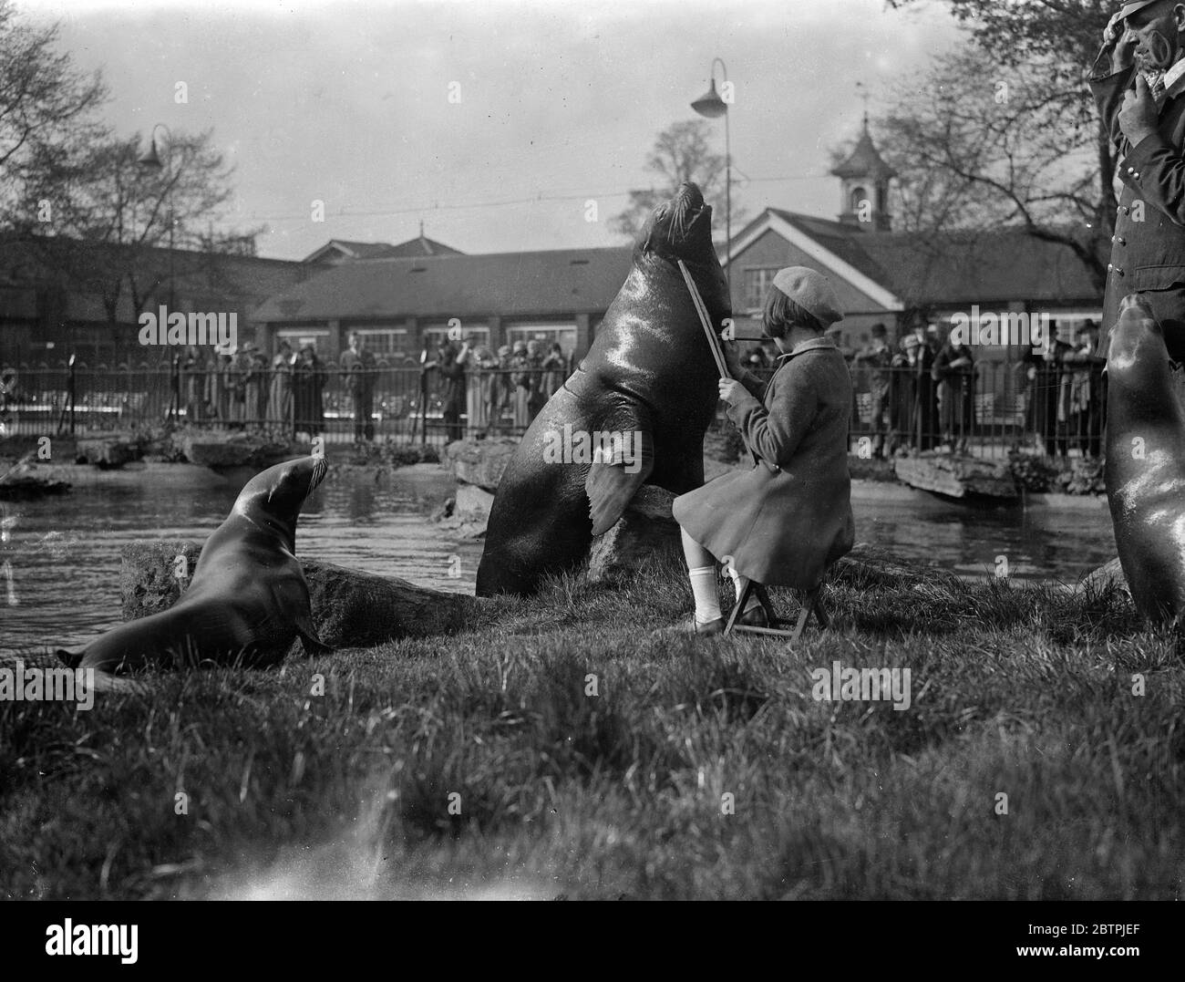 Regents park zoo hi-res stock photography and images - Alamy