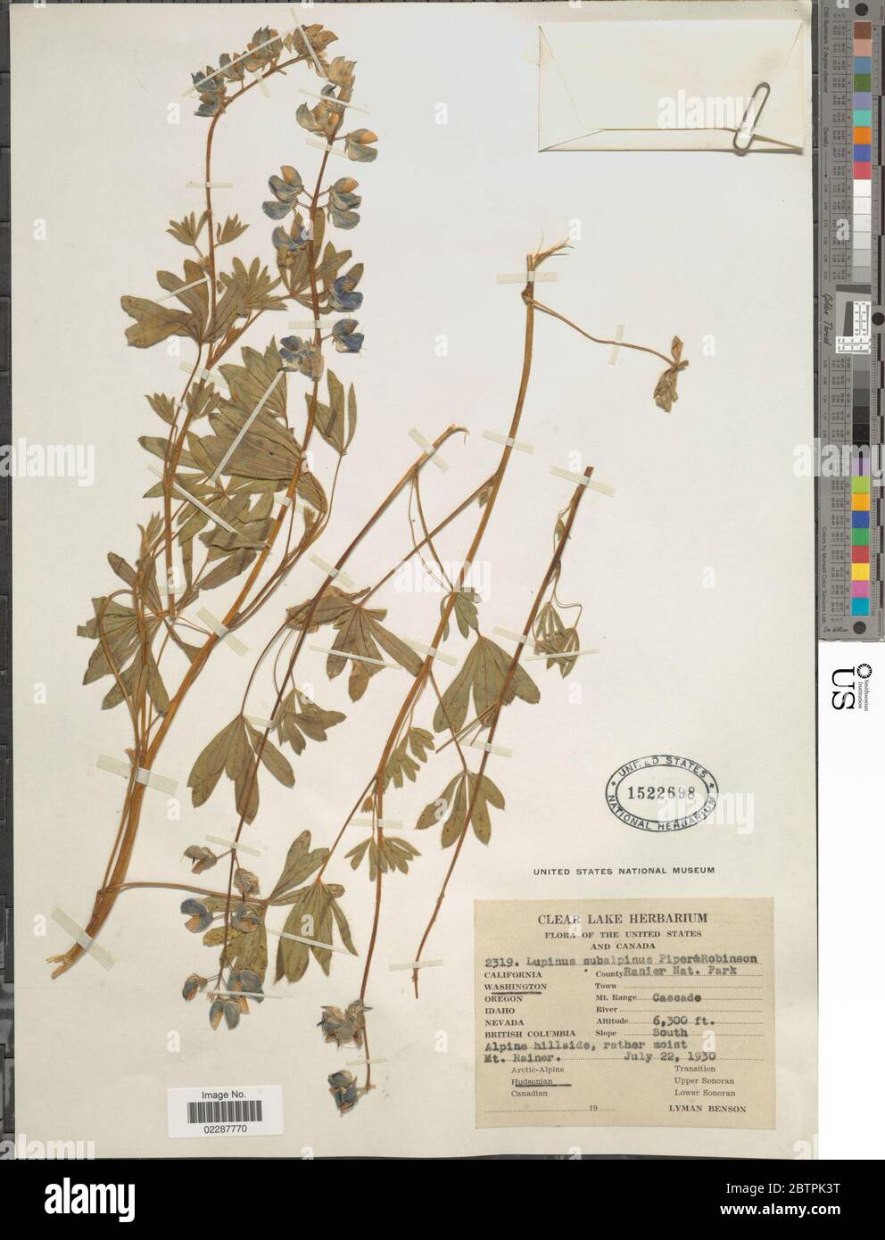 Rob piper hi-res stock photography and images - Alamy