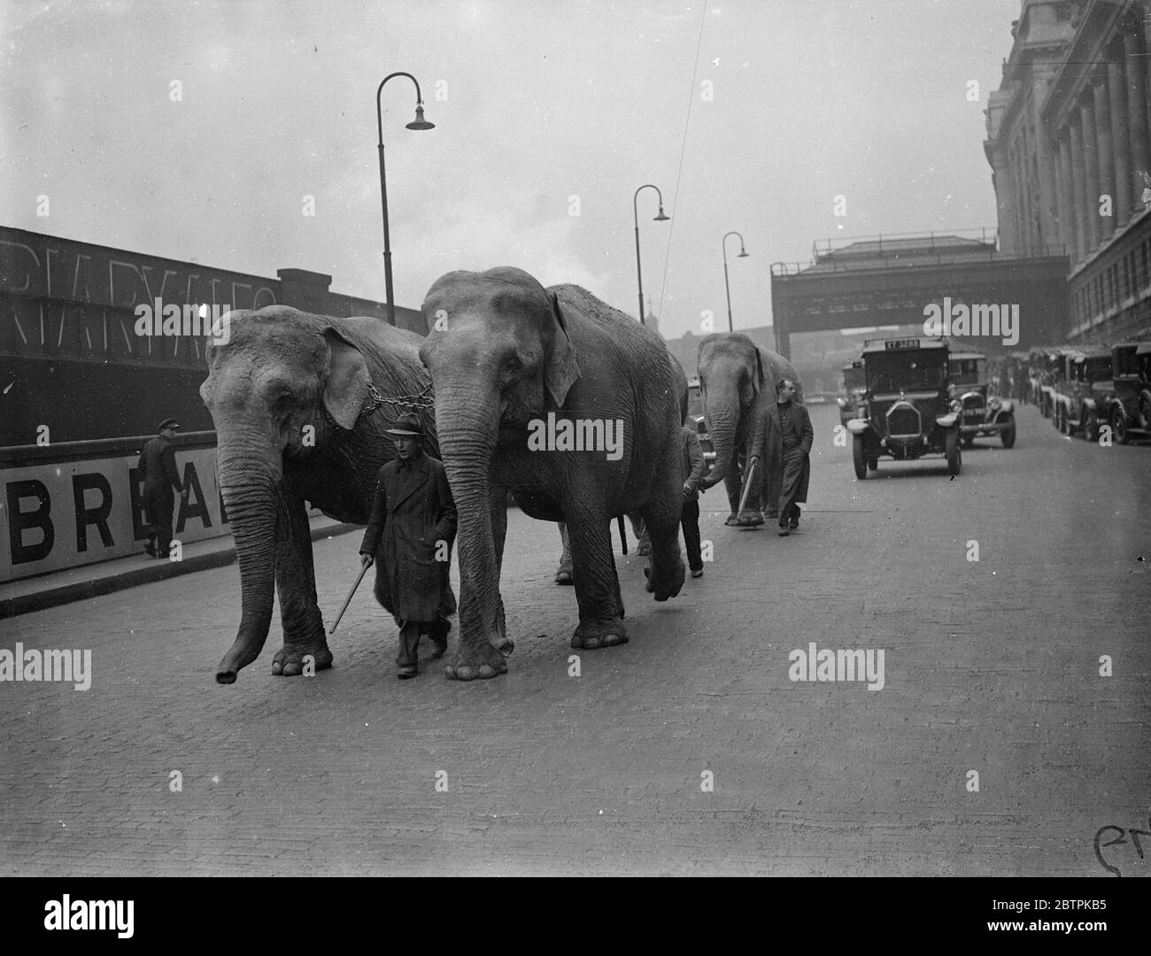 Shock humour hi-res stock photography and images - Alamy