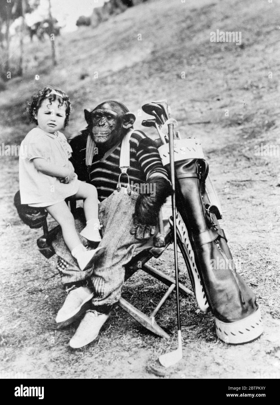 Strangest hi-res stock photography and images - Alamy