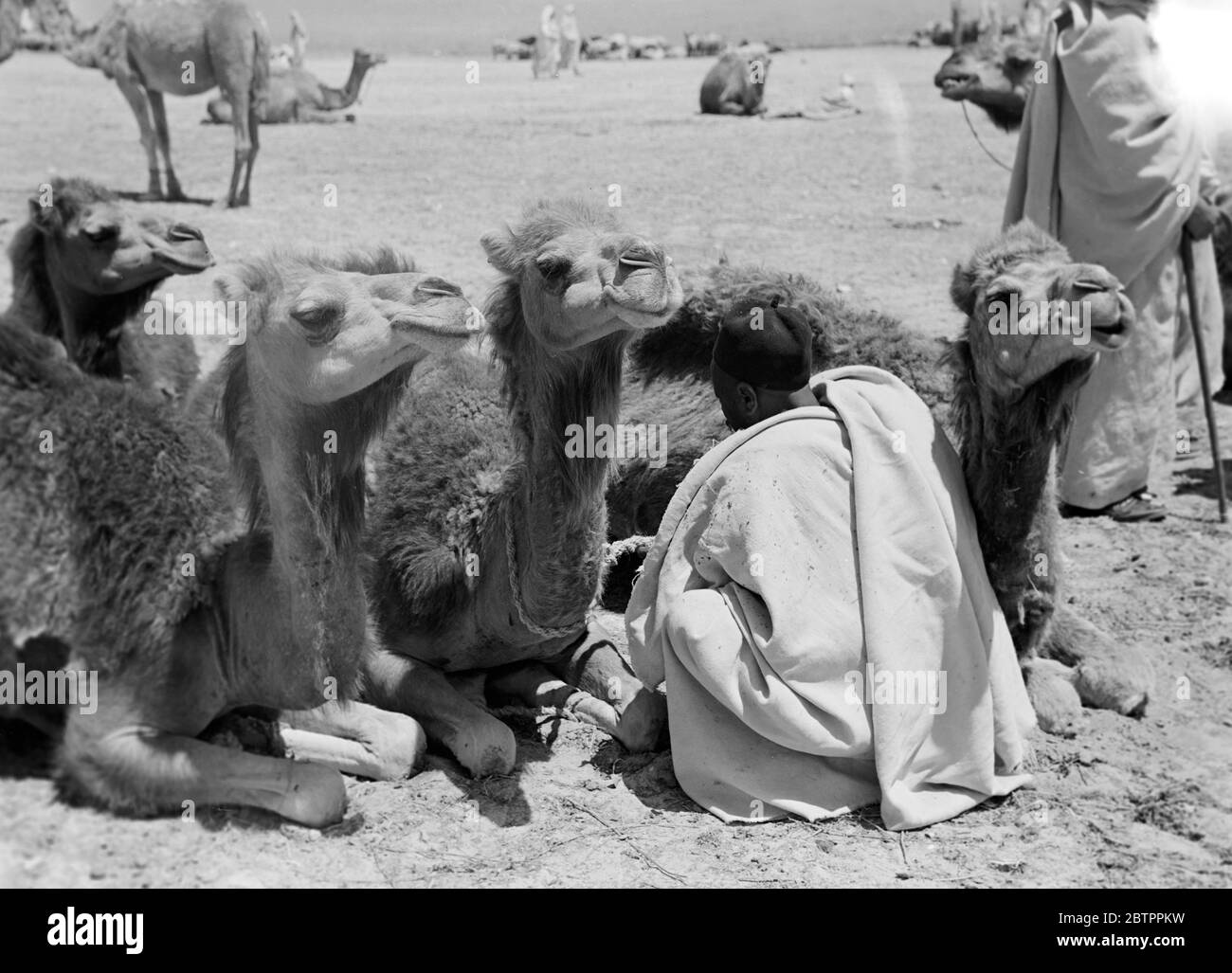 1930s libyan hi-res stock photography and images - Alamy